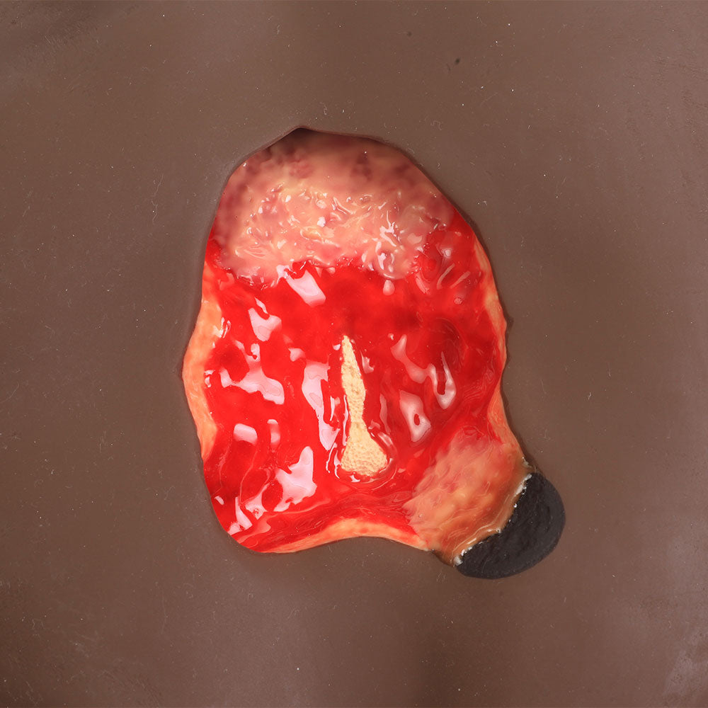 SEYMOUR II WOUND CARE MODEL™ – VATAinc